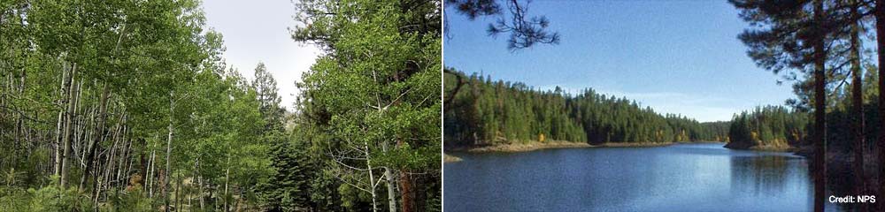 Knoll Lake Arizona | Near Payson AZ